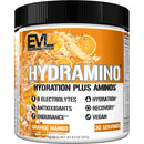 Evlution Nutrition Hydramino – EVLUTION NUTRITION